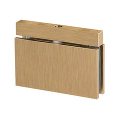 Shower Door Hinges